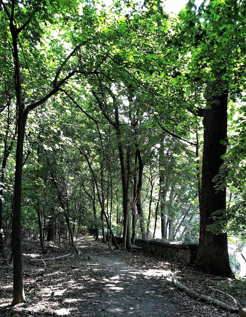 Samuel Untermyer in His Enchanted Gardens (Part 1) — NOTES ON NEW YORK