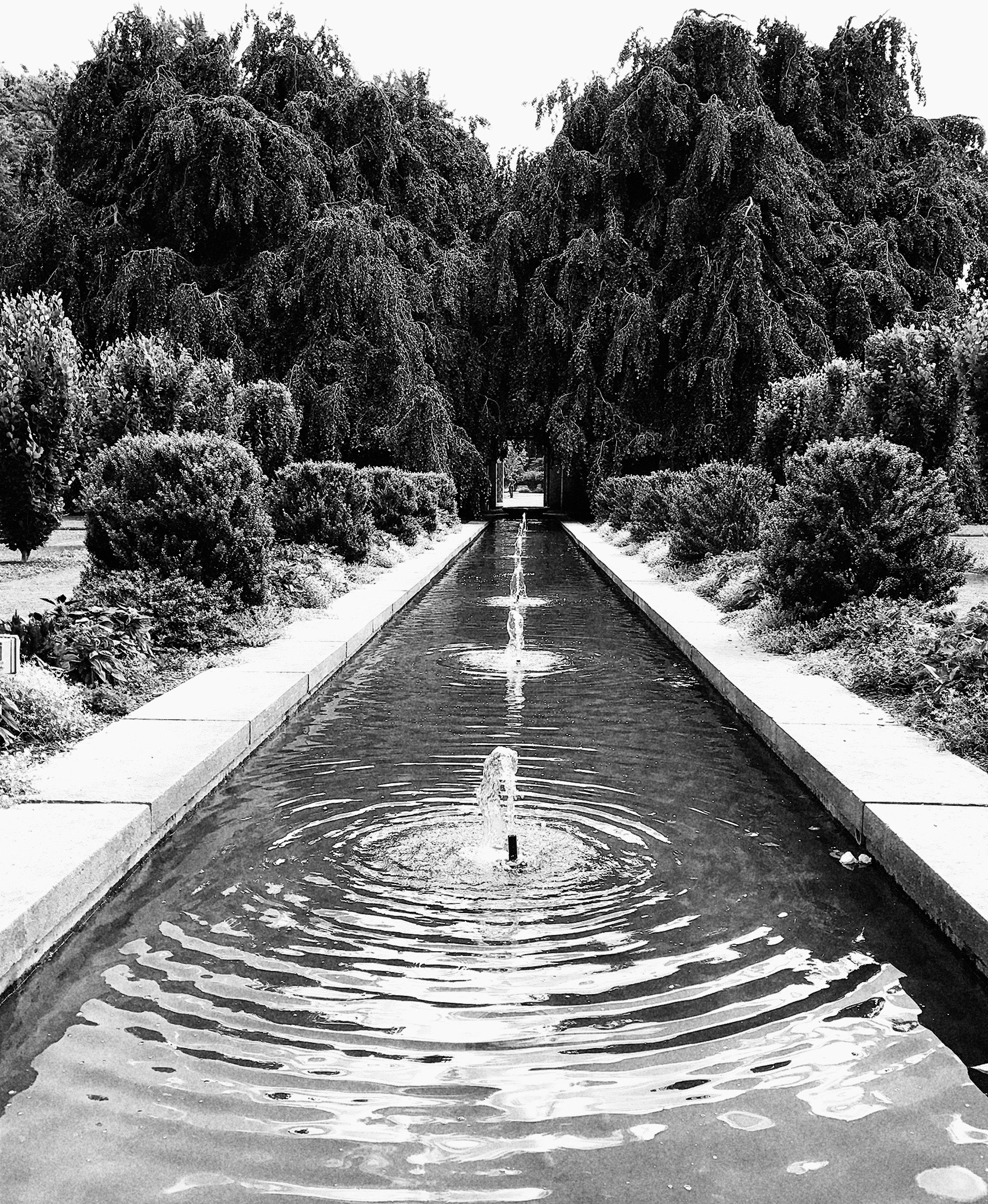 Samuel Untermyer in His Enchanted Gardens (Part 2) — NOTES ON NEW YORK