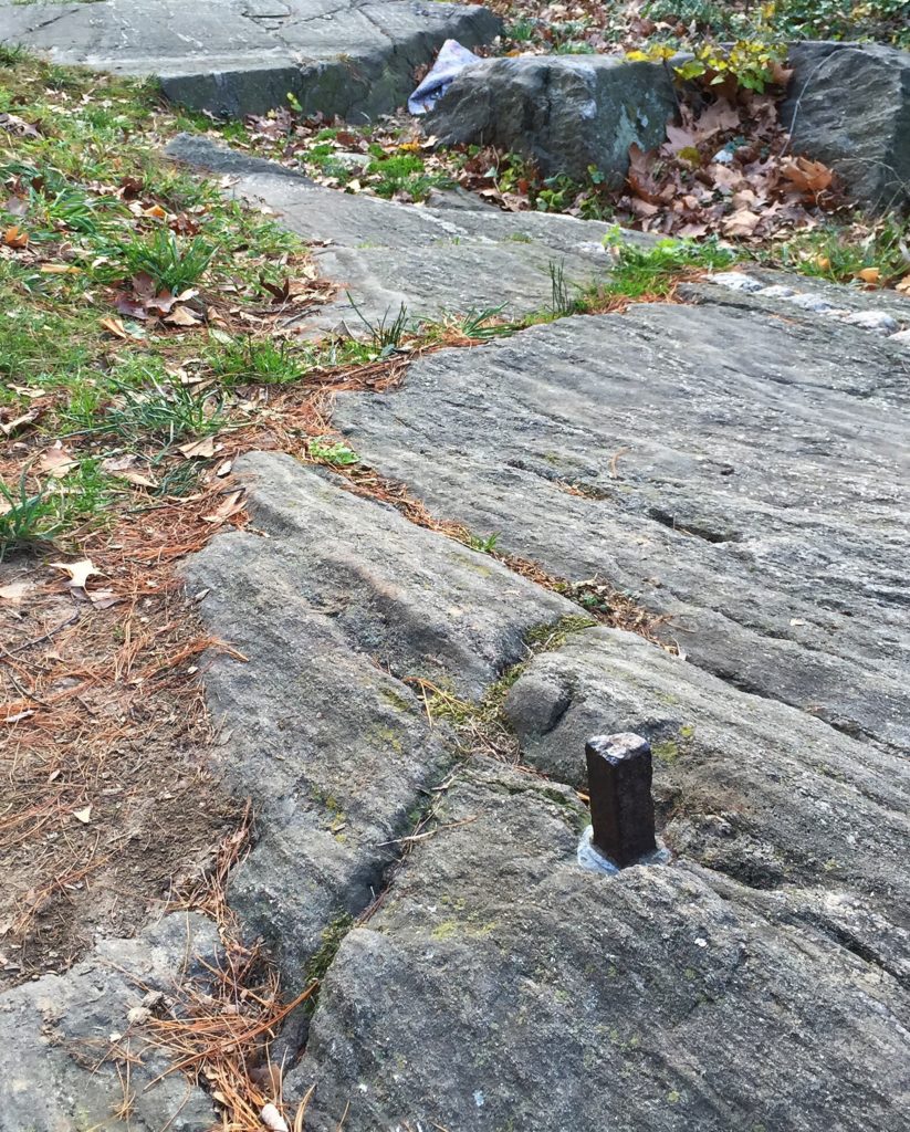 John Randel, Jr.'s Survey Bolt — NOTES ON NEW YORK