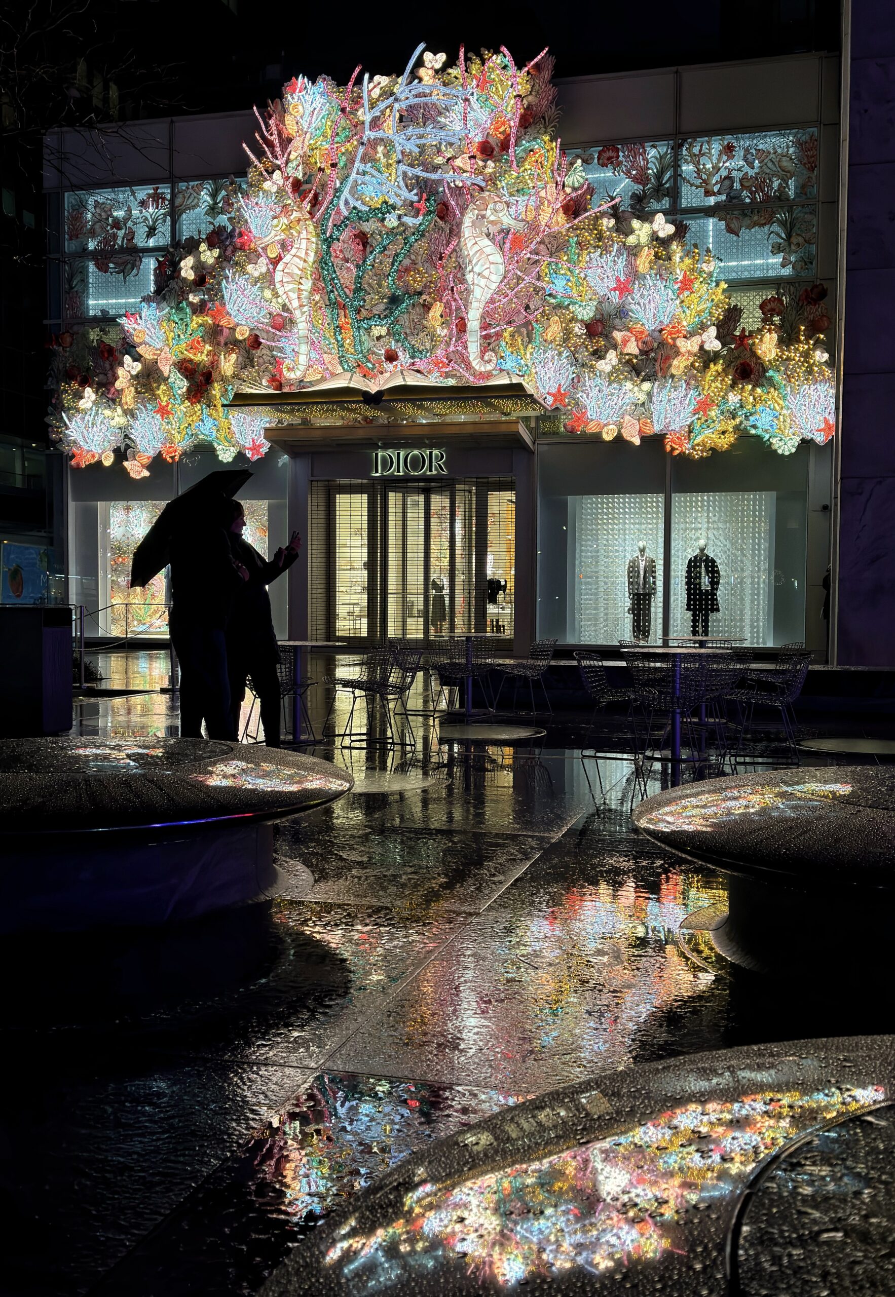 Mandolin Rain — NOTES ON NEW YORK